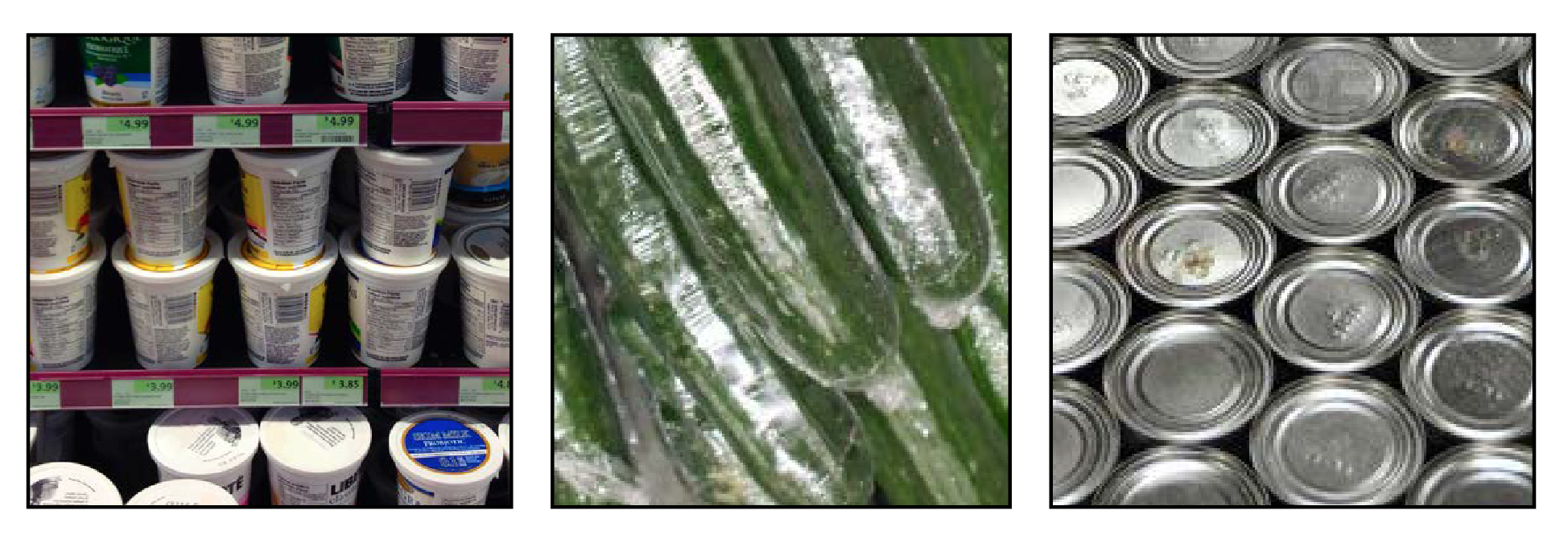 Organic Waste Recycling, Disposal & Recovery | Revolution Resource Recovery